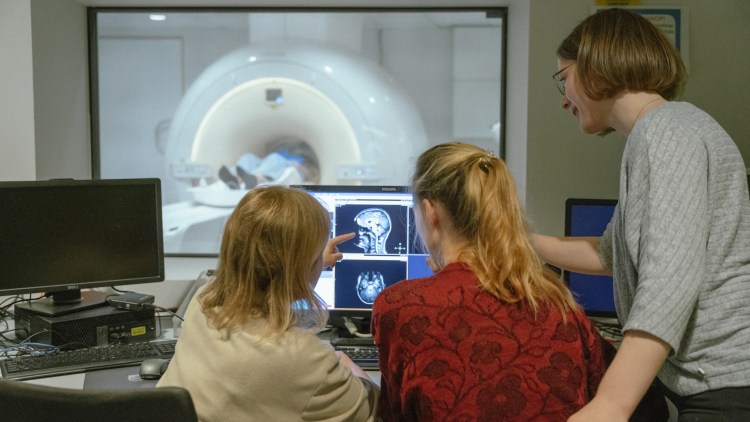 Research Internships – BRAINS-lab